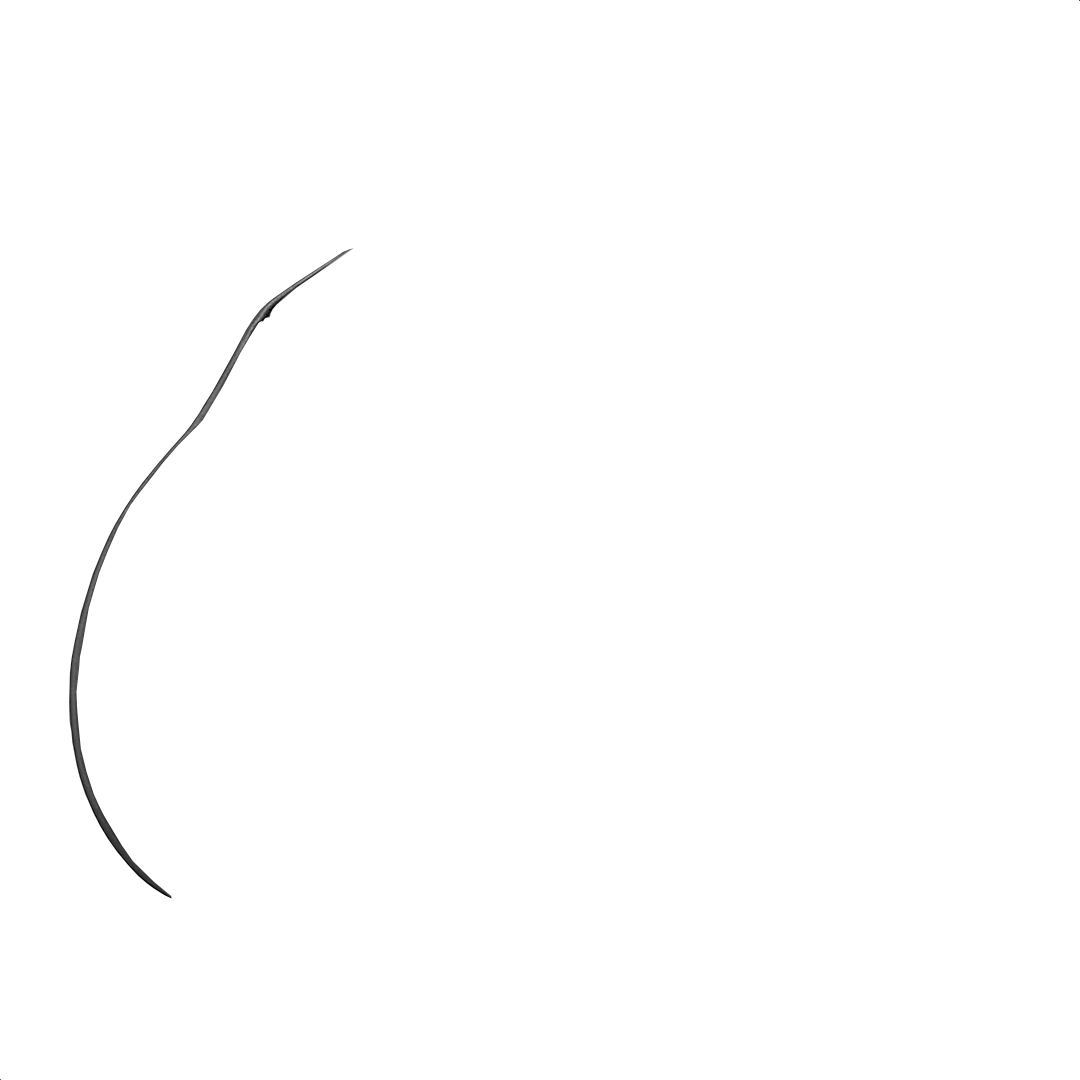 Santa Cruz Saddlery