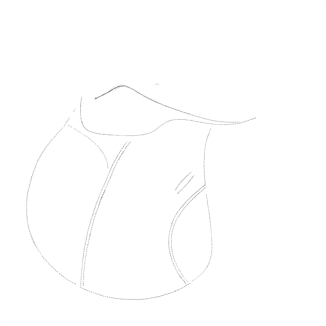 Santa Cruz Saddlery